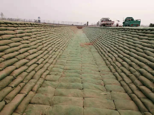 China Geosynthetics manufacturer supplier exporter LX